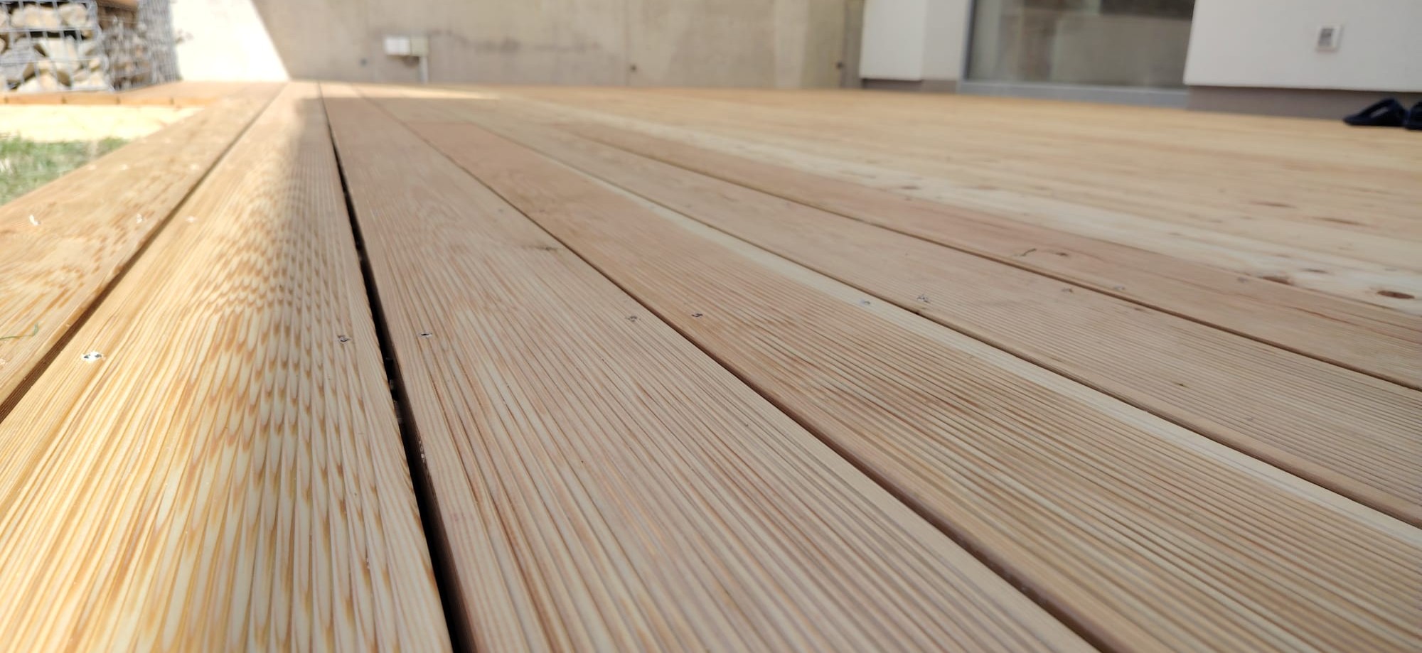 Modřín sibiřský - přírodní krása a elegance - Pro Terasy